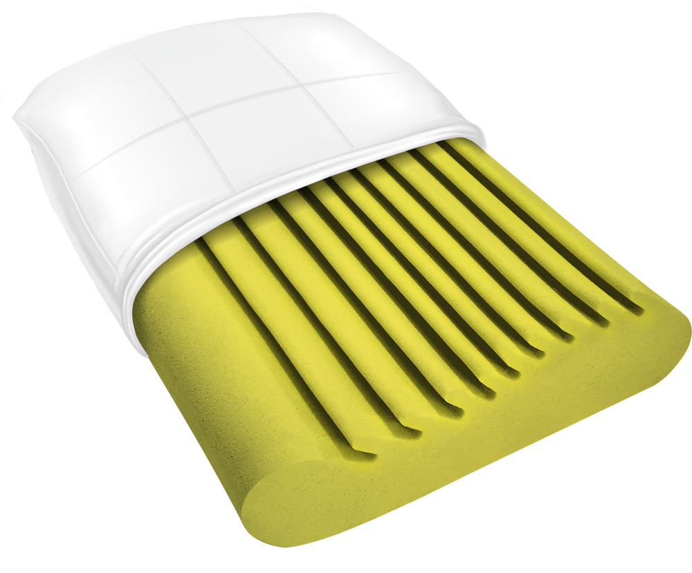 VITAL (1) – Dolidol