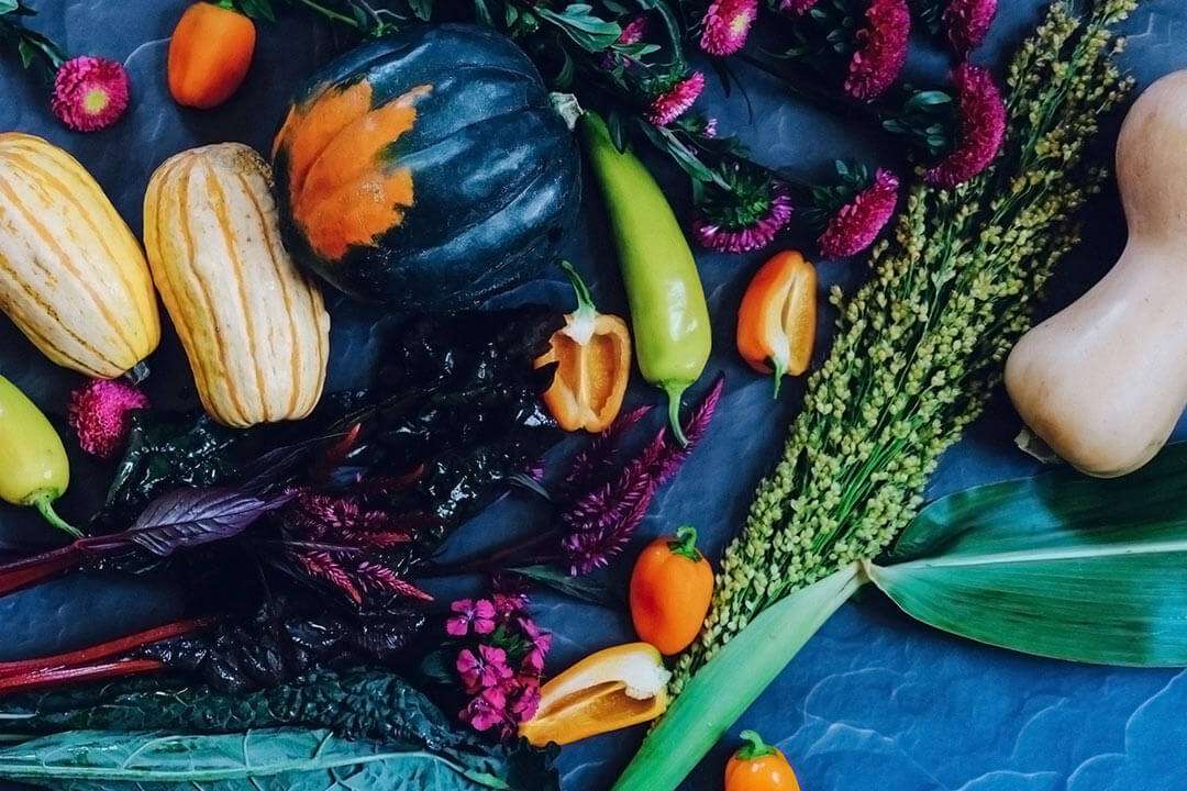 ella-olsson-1094090-unsplash – Dolidol